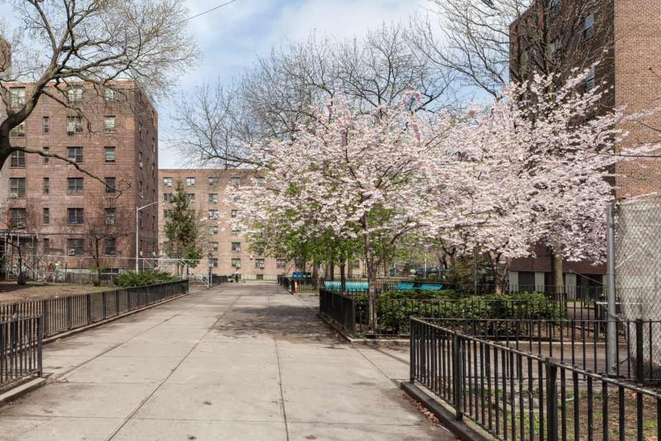 Walt Whitman and Ingersoll Homes - Nelligan White Architects